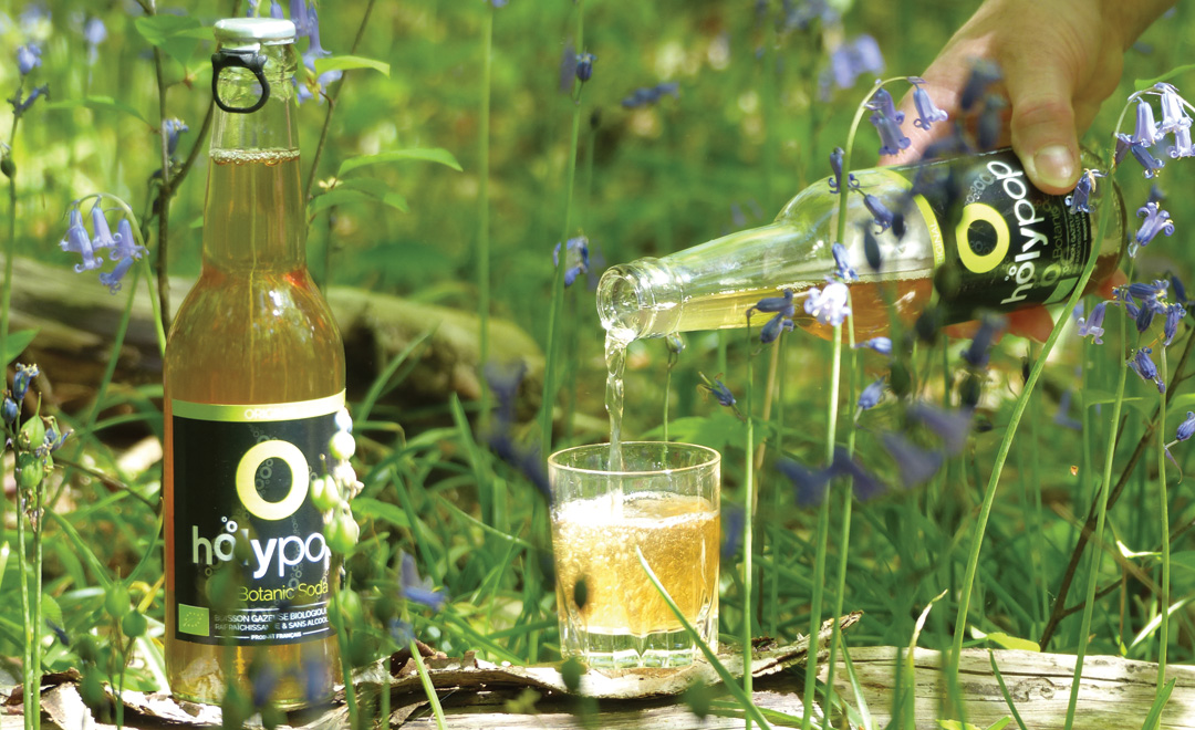 Holypop la pétillante boisson de l'été, 100% naturel ! - Bidule et Cocotte
